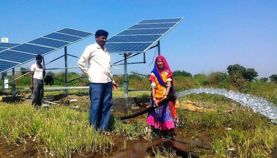 Trees and solar panels are helping Indian farmers reduce their carbon ...