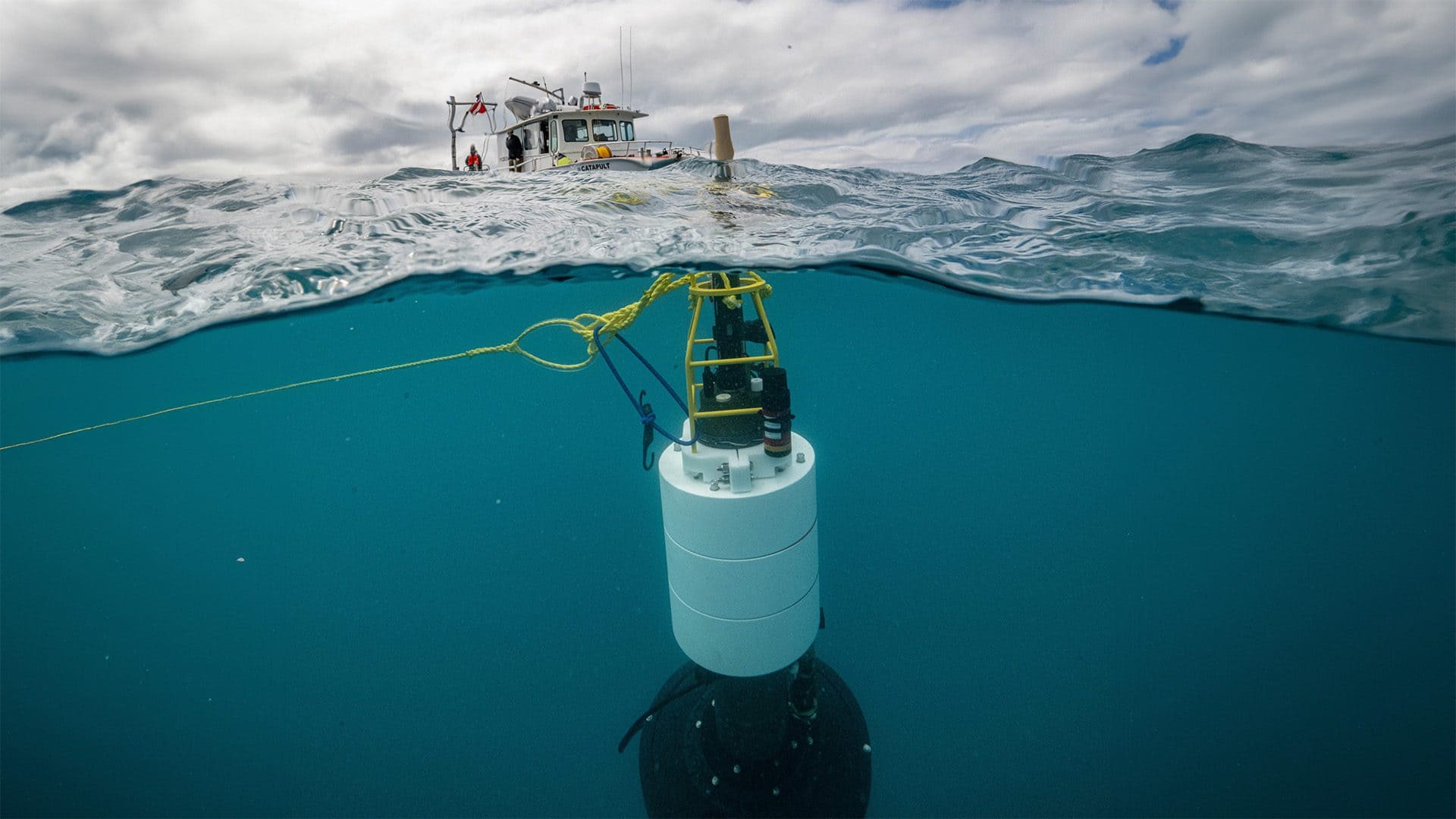 Oceanic Mucus Impact on Marine Snow Sinking Speed and Climate Implications