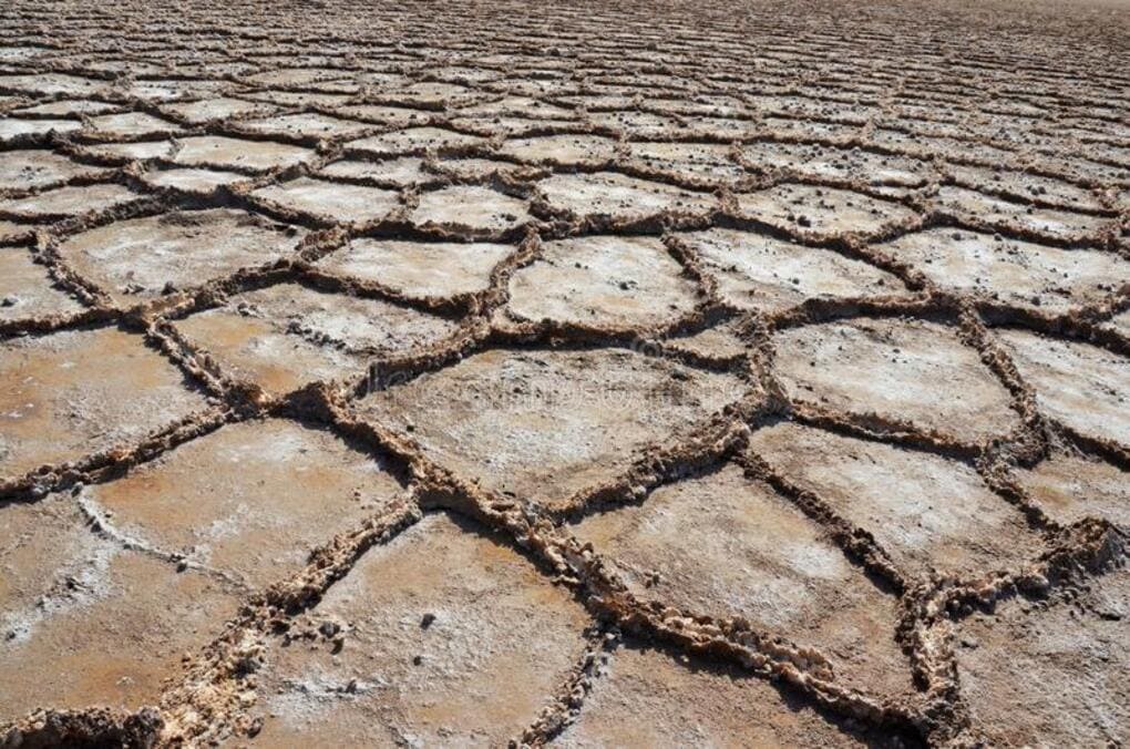 Discover the secret behind the universal similarity of salt flats ...