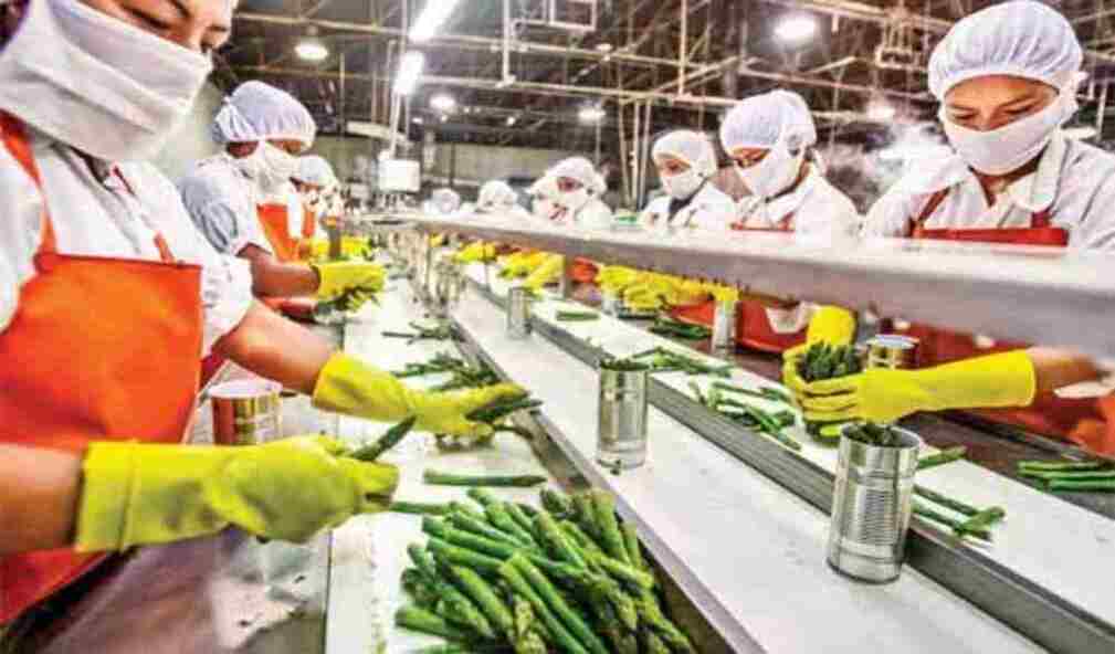 Topics for a Food Industry Research Paper